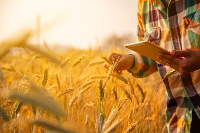 Logistics - Royal Agro